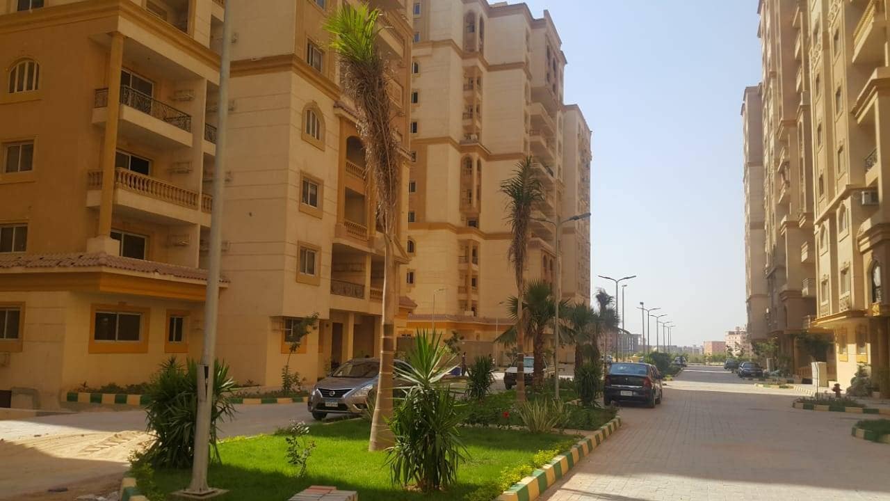 Home - Dyar | ديار